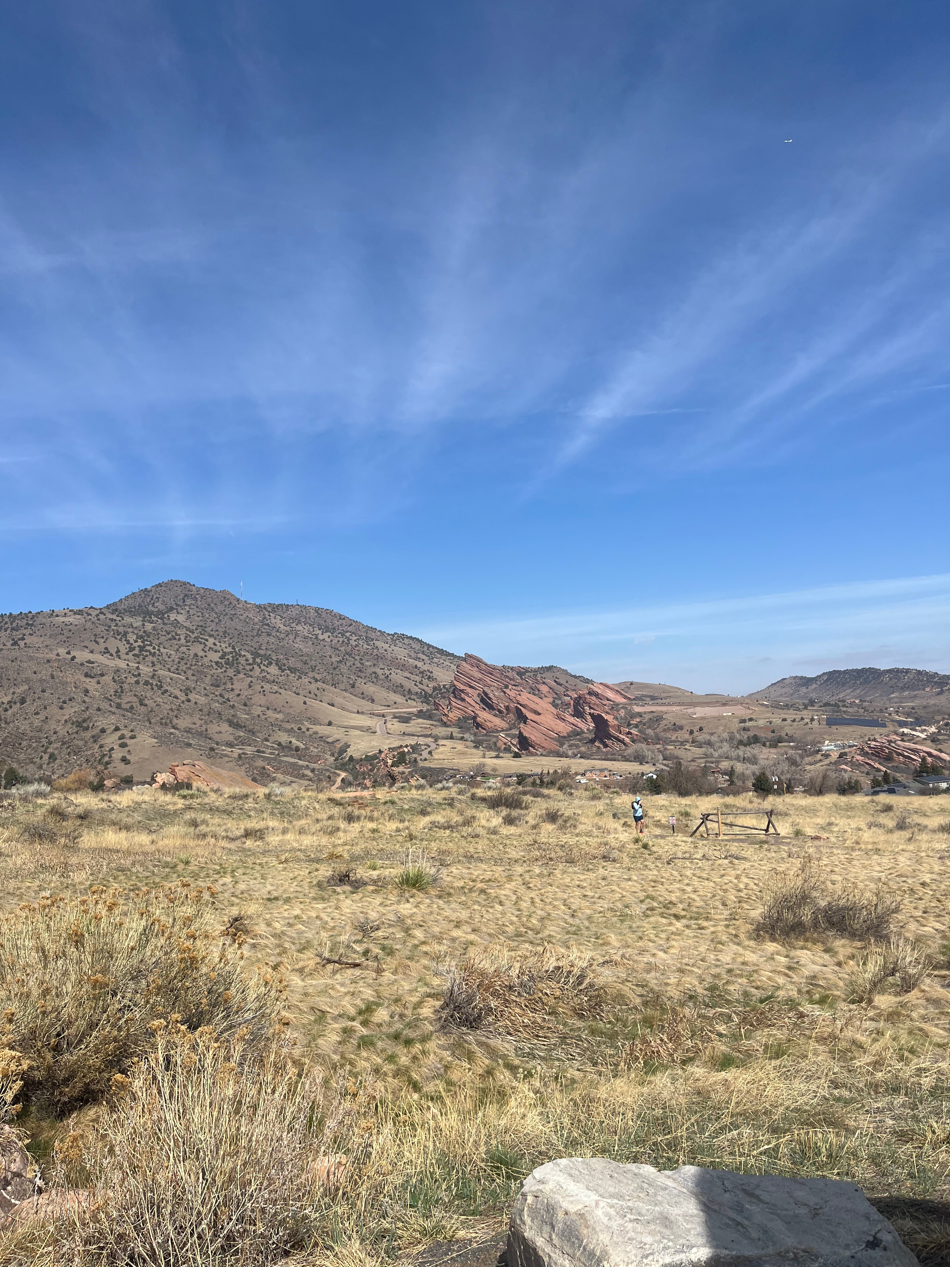 🌷 Spring in Denver: Your Ultimate Guide to What’s Happening – The ...